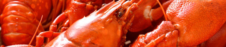 阿寒湖漁業協同組合 | Crayfish history